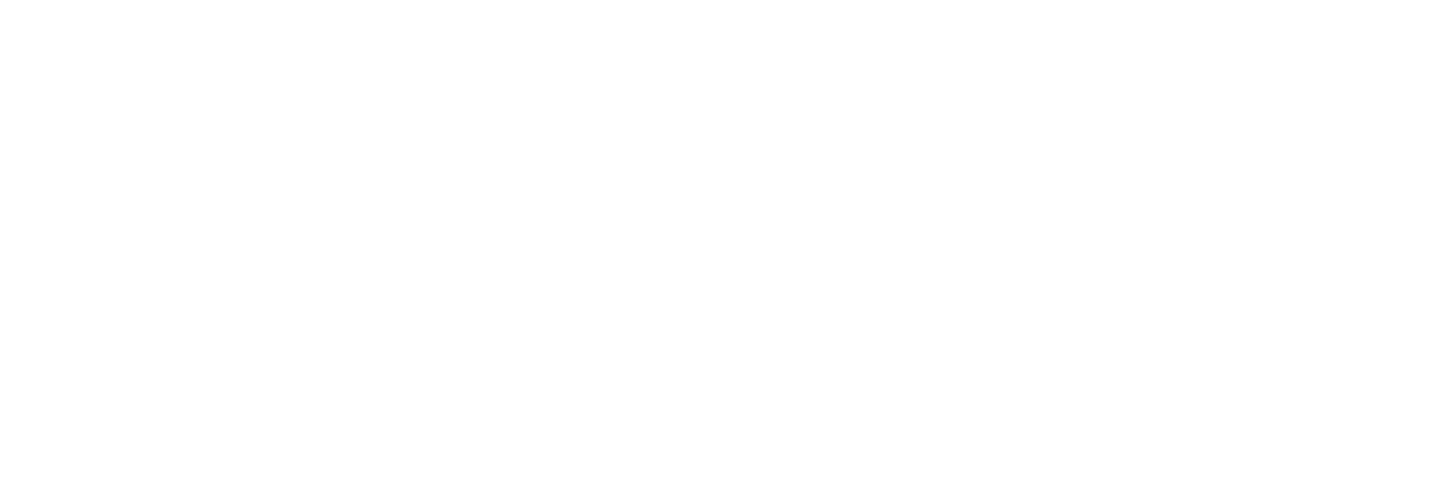 Garuda Indonesia